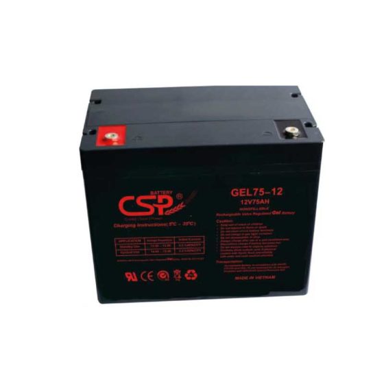 Kung Long 12v 9ah battery WP1236W Valve Regulated Lead Acid